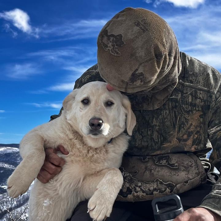 23.02K likes, 49 shares | Will Survives (@willsurvivesyoutube)