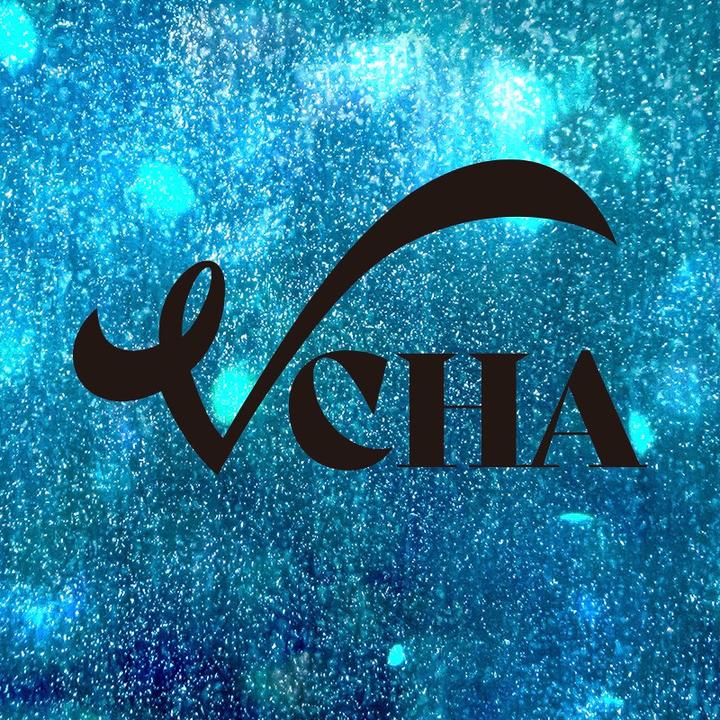 🦄 @vcha - VCHA - TikTok