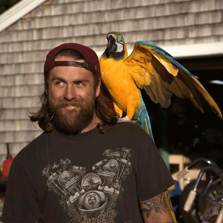 🦄 @rustyvanranch - Rusty Van Ranch - TikTok