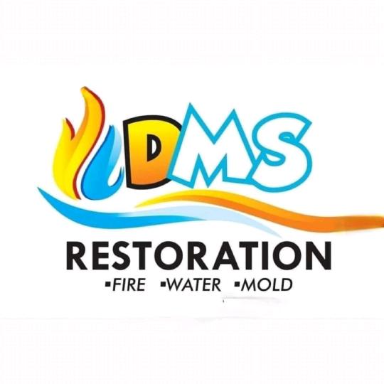 🦄 @dmsrestoration2023 - Dms Restoration - TikTok