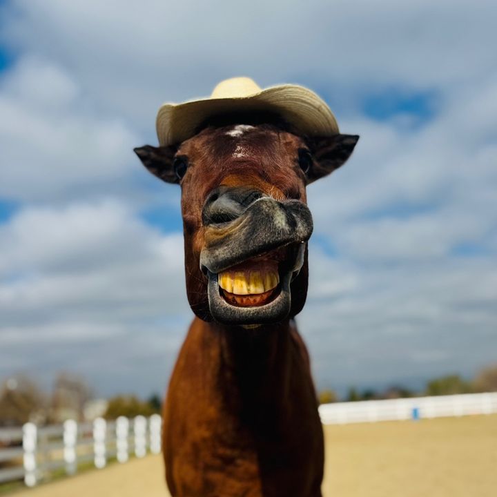 39 hearts, 2 shares, 1 | Mmmikisha (@mika28michelle)